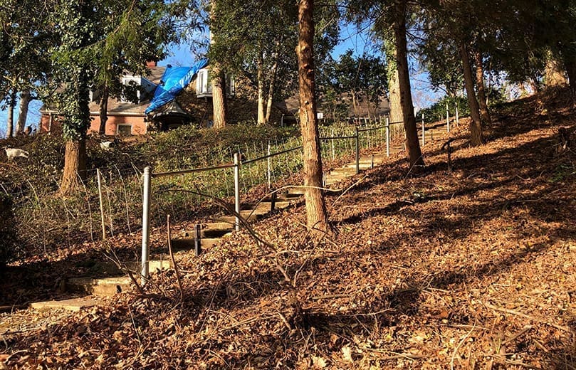 Ignatius House Retreat Center restoring trails - Georgia Bulletin ...