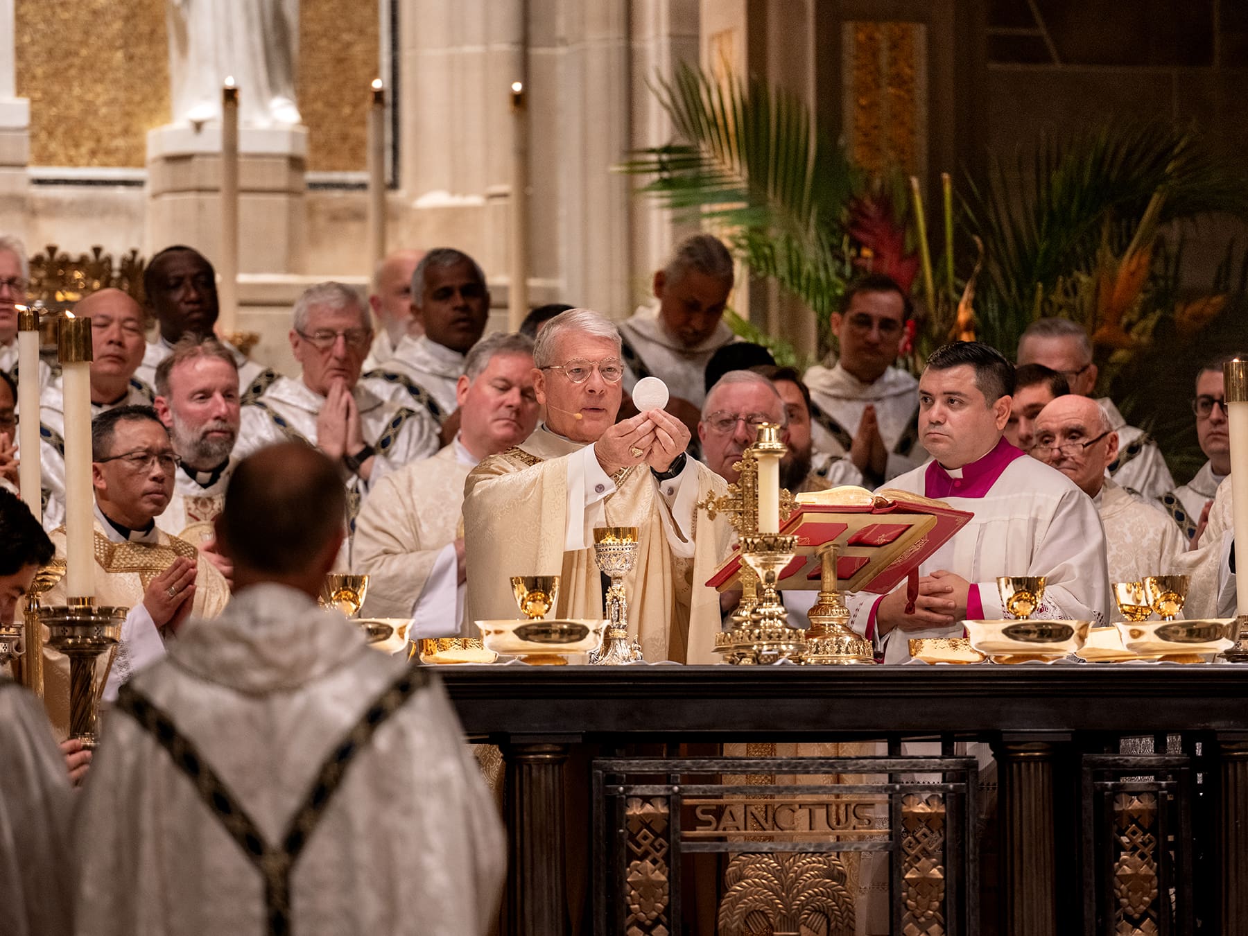 Video series offers 'deep dive' into the mysteries of the Mass ...